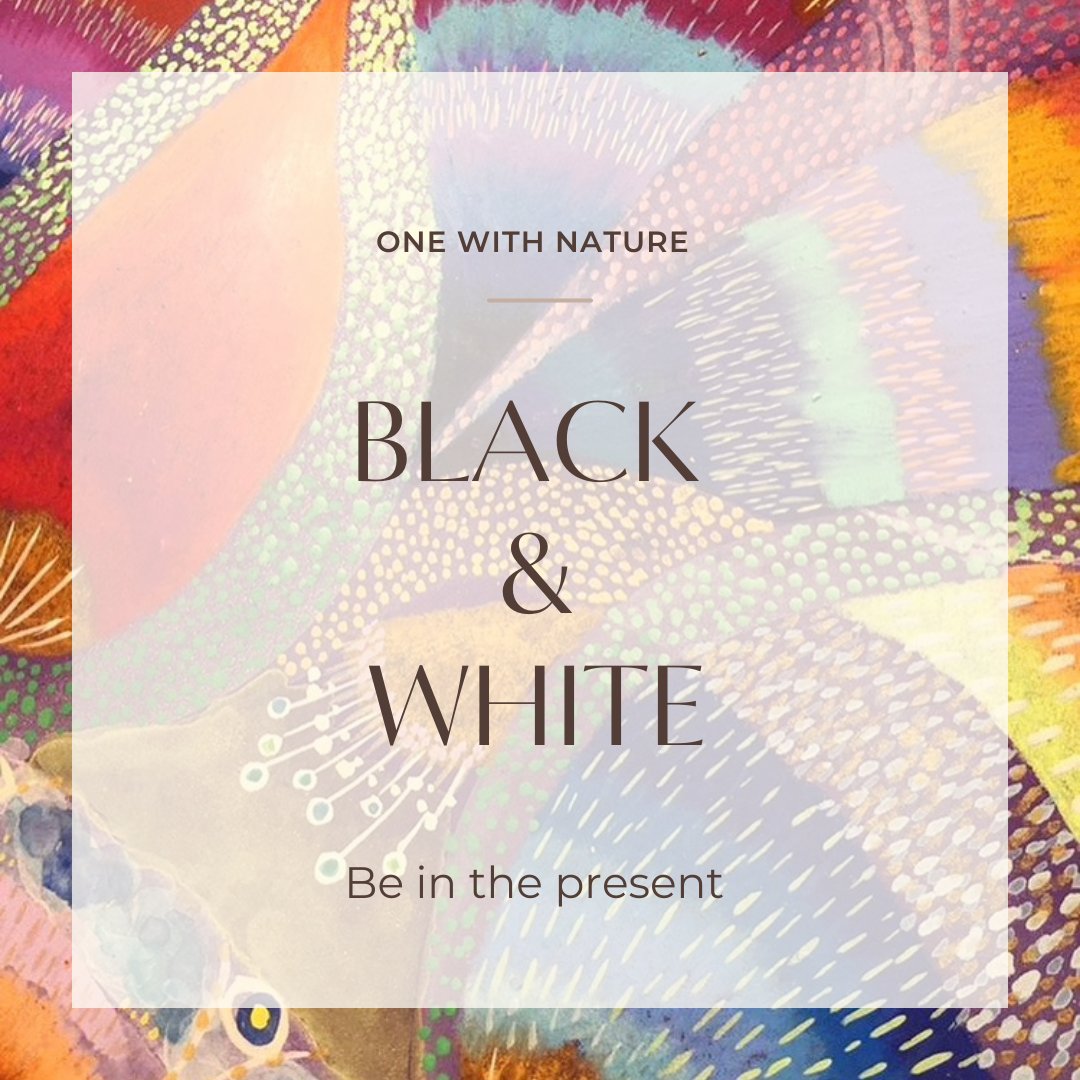 BLACK AND WHITE – YUKO ADACHI